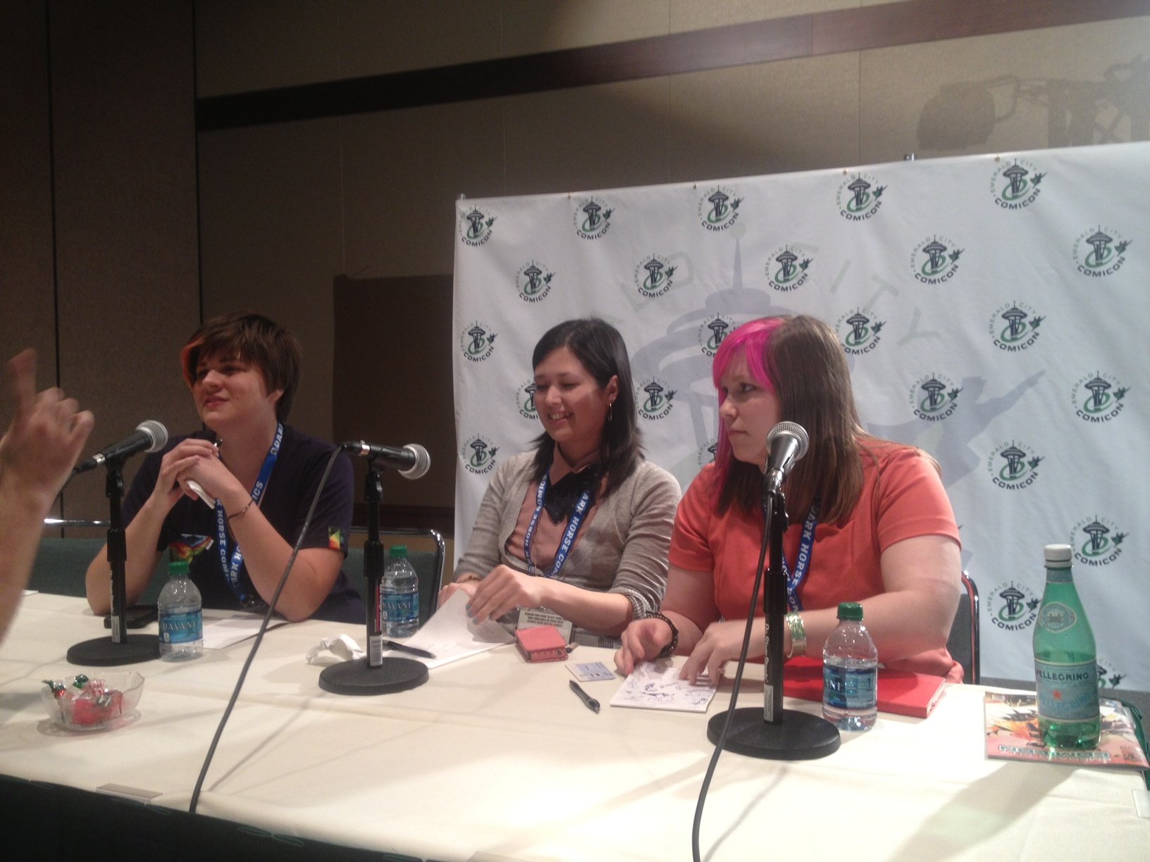 ECCC '13 - The Big Picture Panel