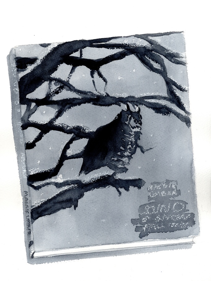 Interview - Maggie Umber on her Latest Graphic Novel, Owls, Research ...