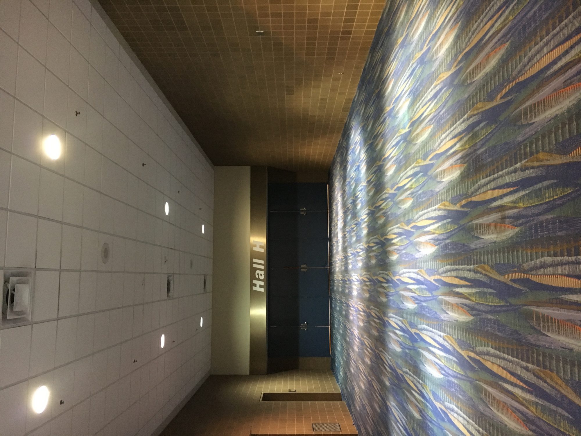 ALA 2018: Graphic novels shine in a very different Hall H