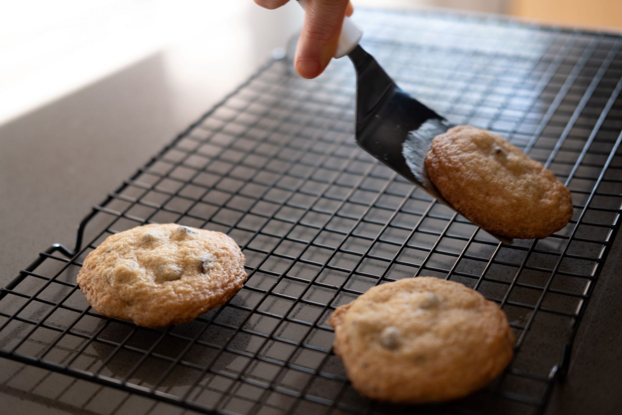 We Baked these Cookies from MAKER COMICS: BAKE LIKE A PRO! and they ...