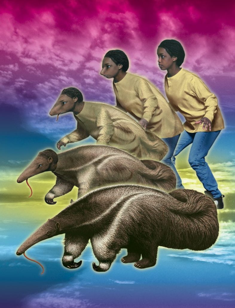 COOL ART: The Esty shop of Animorphs cover artist DAVID MATTINGLY