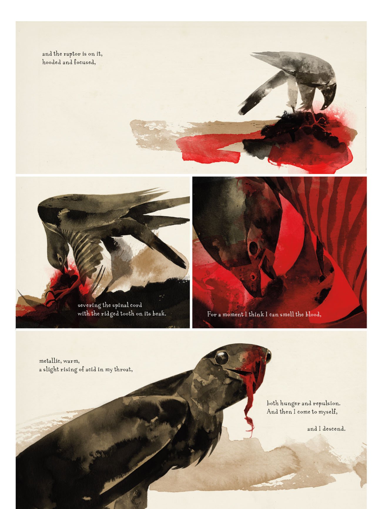 Interview: Dave McKean discusses his new book, RAPTOR - The Beat