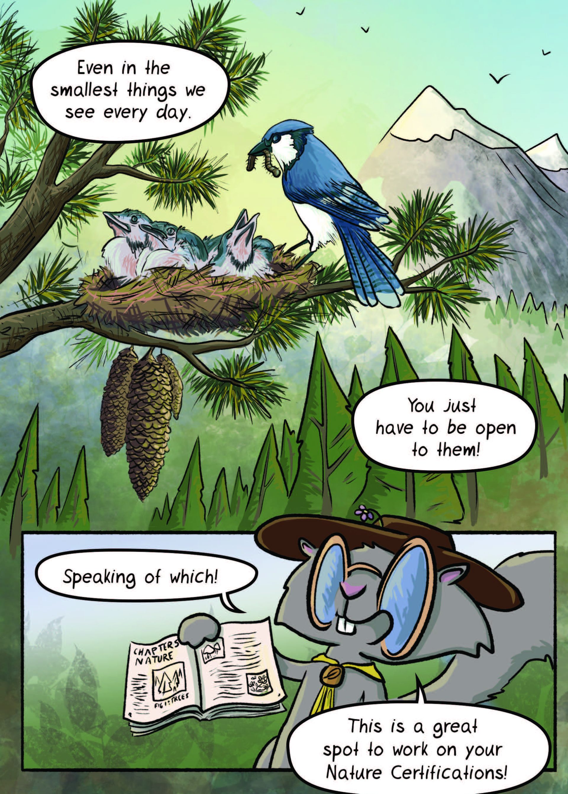 PREVIEW: Discover the beauty of nature in ORDER OF THE NIGHT JAY: THE ...