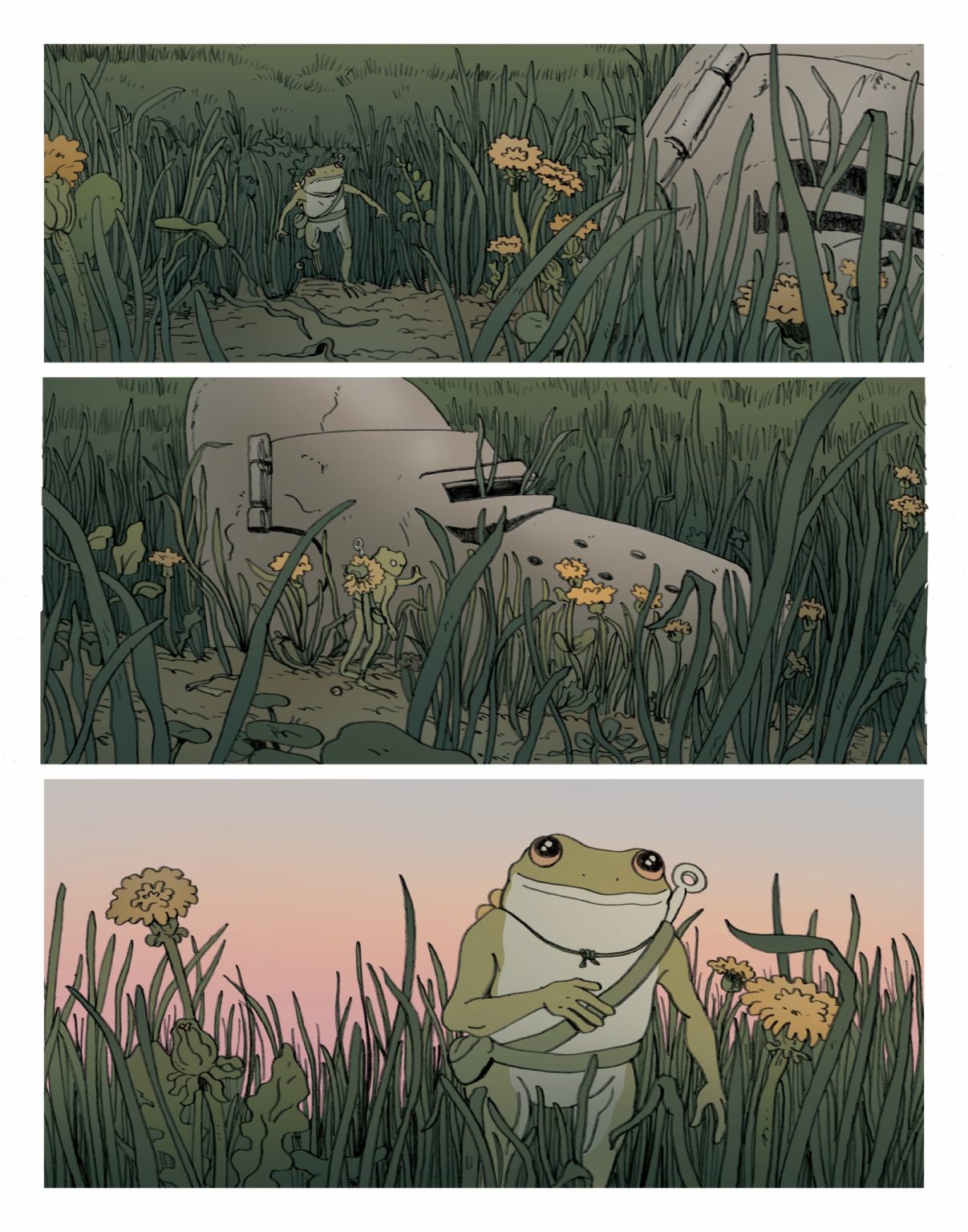 GRAPHIC NOVEL REVIEW: Tiny Epic THE COUNCIL OF FROGS
