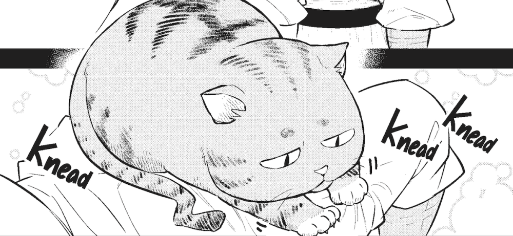 MANGA REVIEW: Cat on the Hero's Lap Vol. 1 inserts cat hijinks into ...