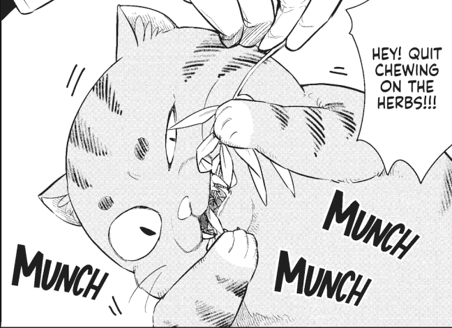MANGA REVIEW: Cat on the Hero's Lap Vol. 1 inserts cat hijinks into ...
