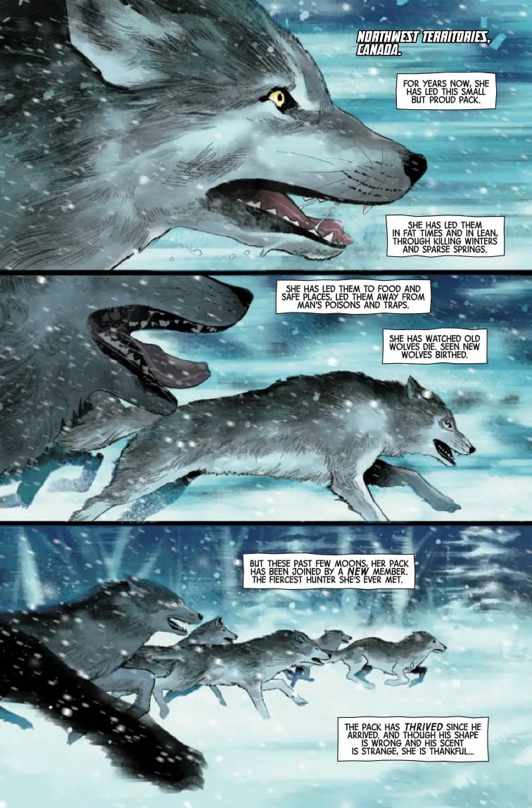 The Marvel Rundown: WOLVERINE #1 cuts deep