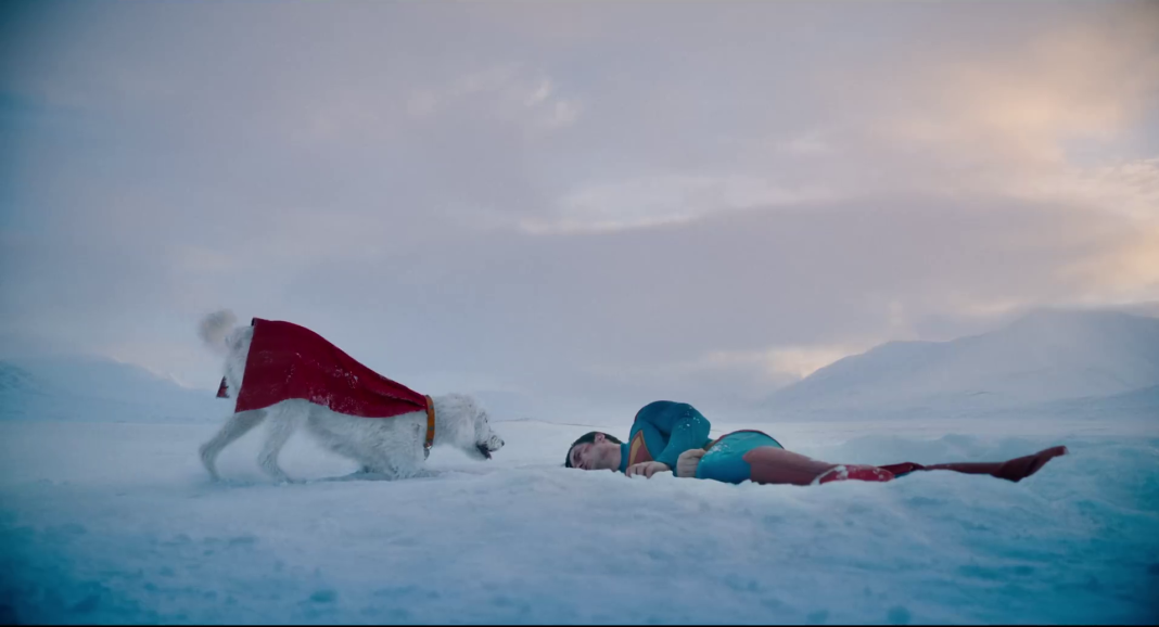 Krypto is a good boy in SUPERMAN trailer